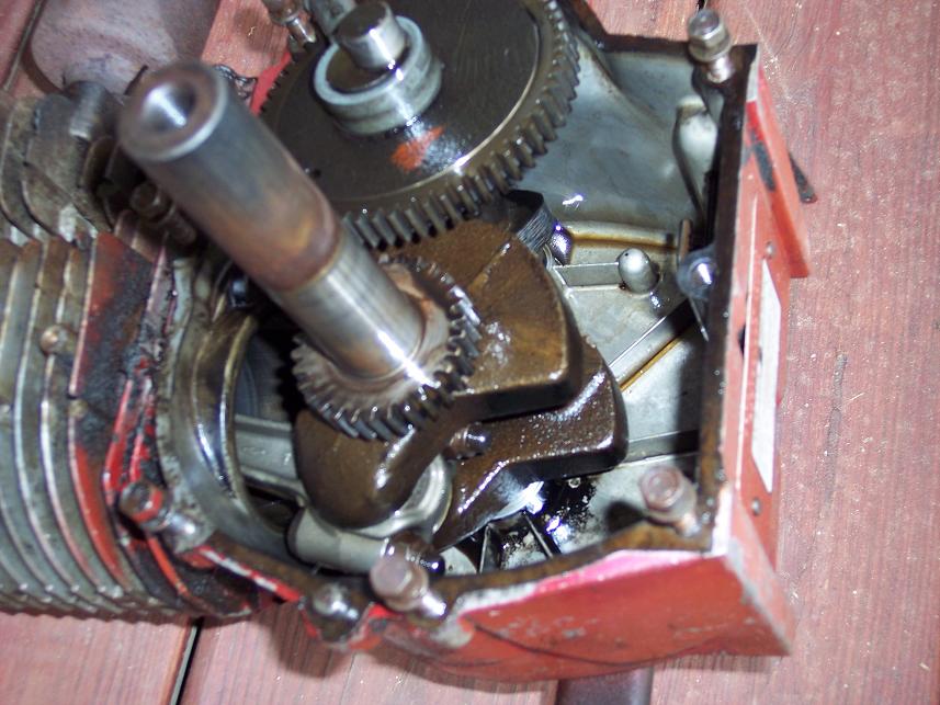 J. Mike Rollins: toro